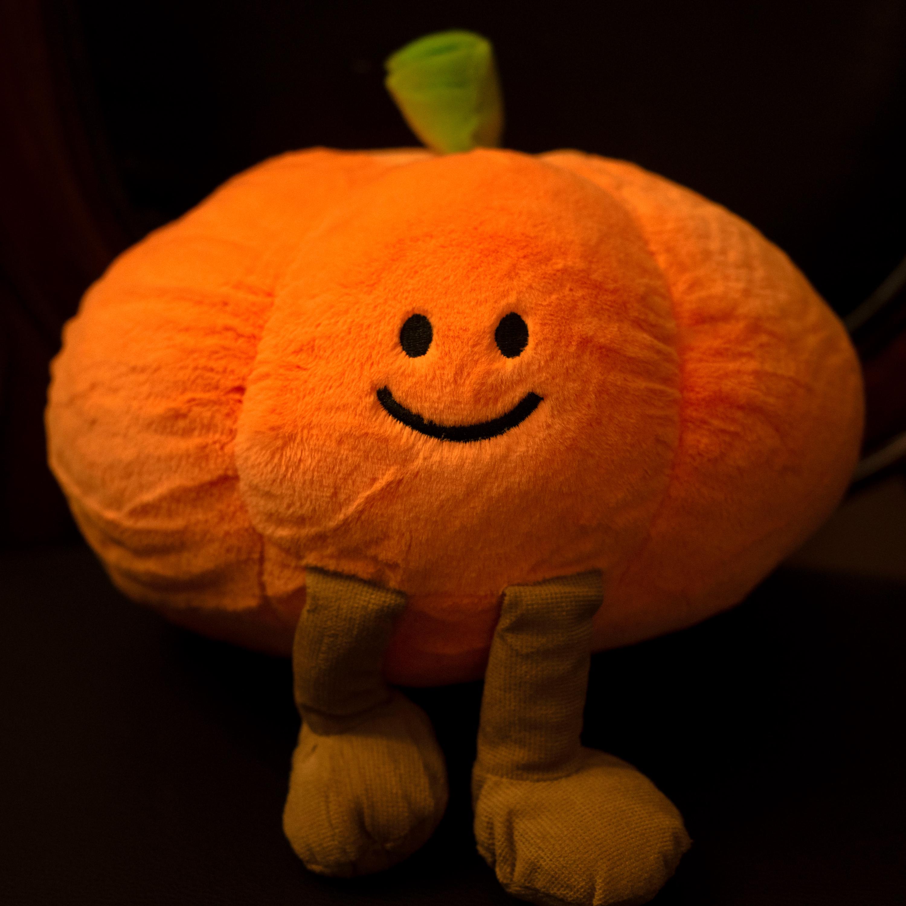 Pumpkin Plush, Fall Plush, Autumn Plush, Cute Plushie, Halloween ...
