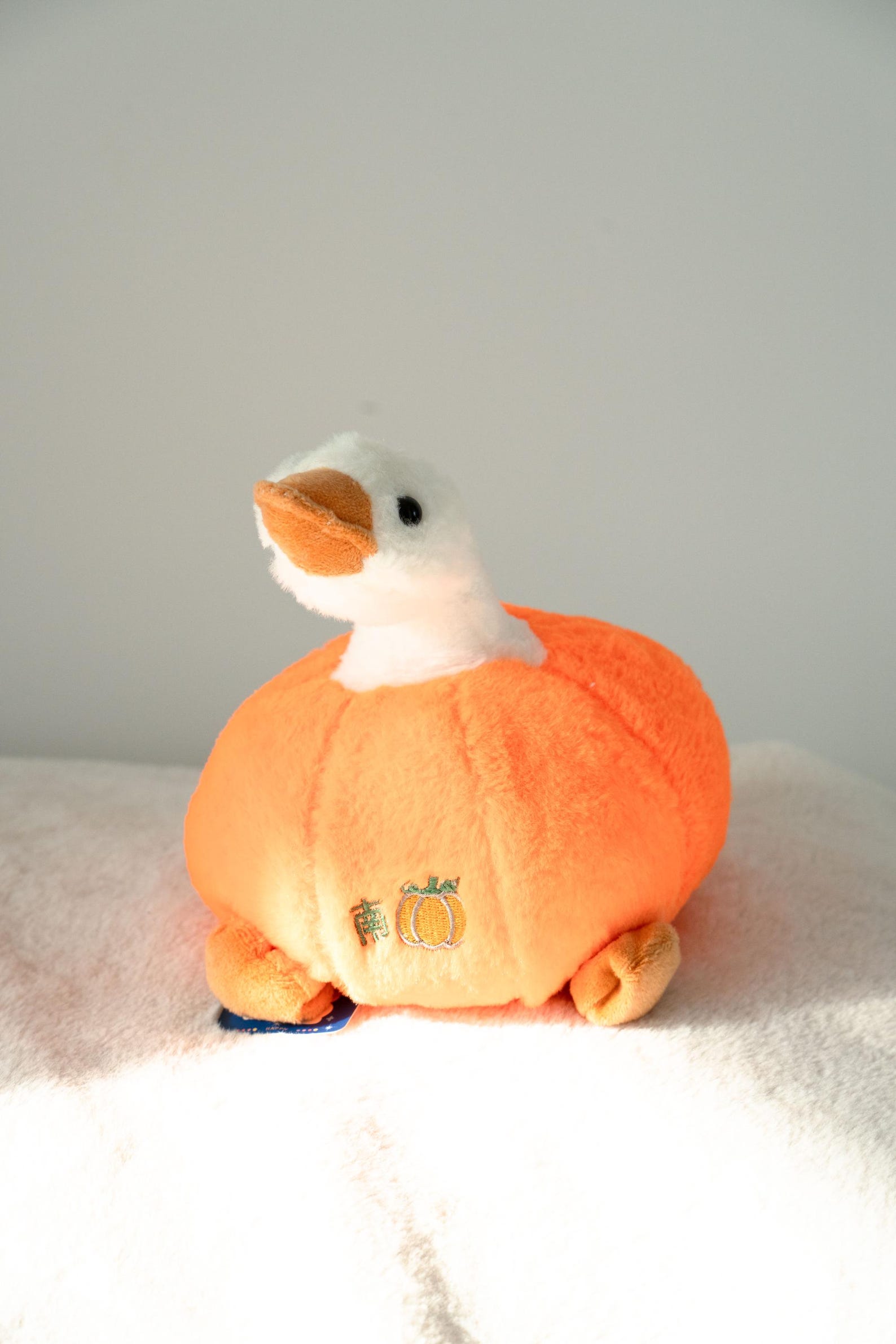 Pumpkin Plush, Duck Plush, Goose Plush, Cute Plushie, Halloween Plushie ...