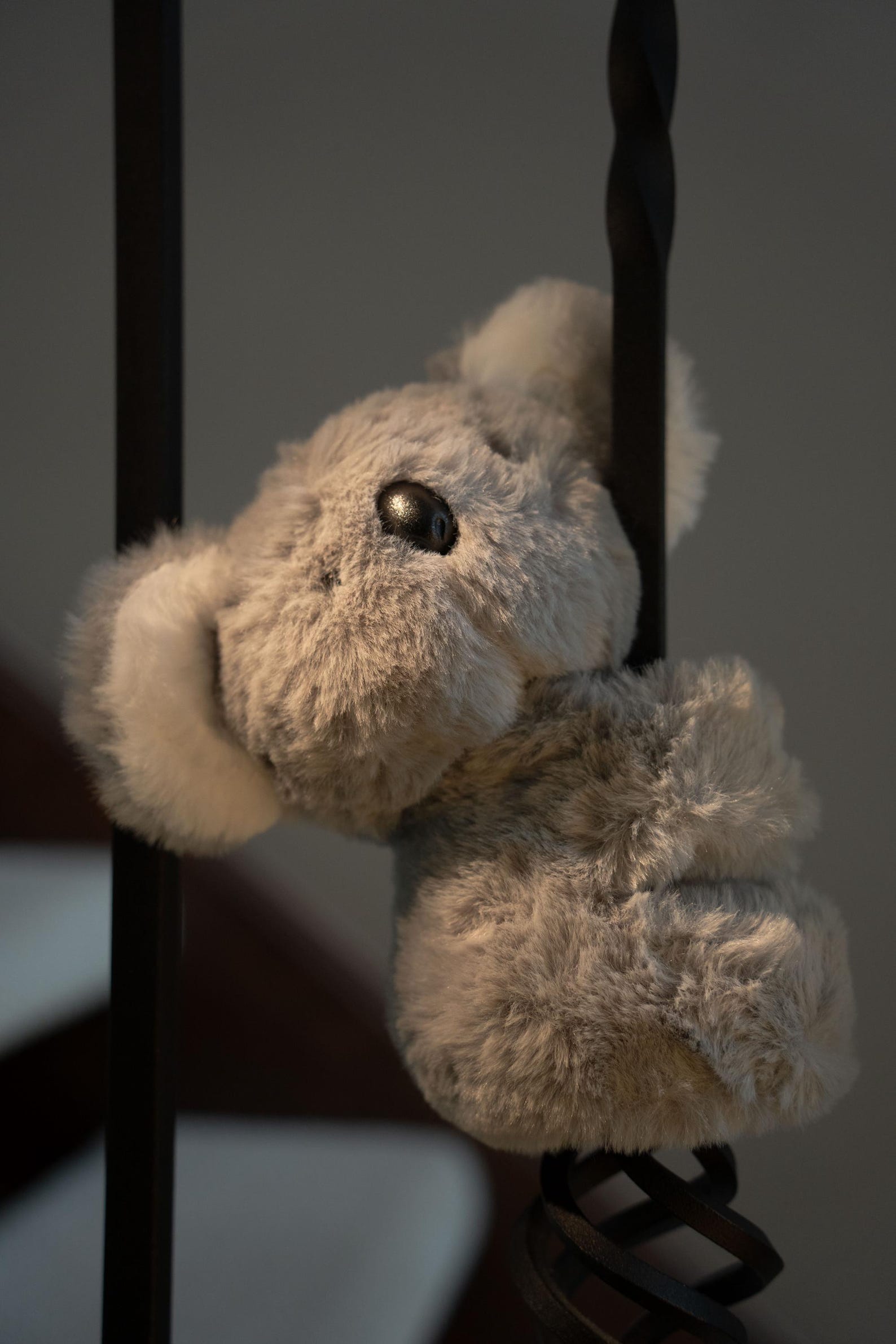 Koala Plushie, Koala Clingy Plushie, Koala Stuffed Animal, Koala Animal ...