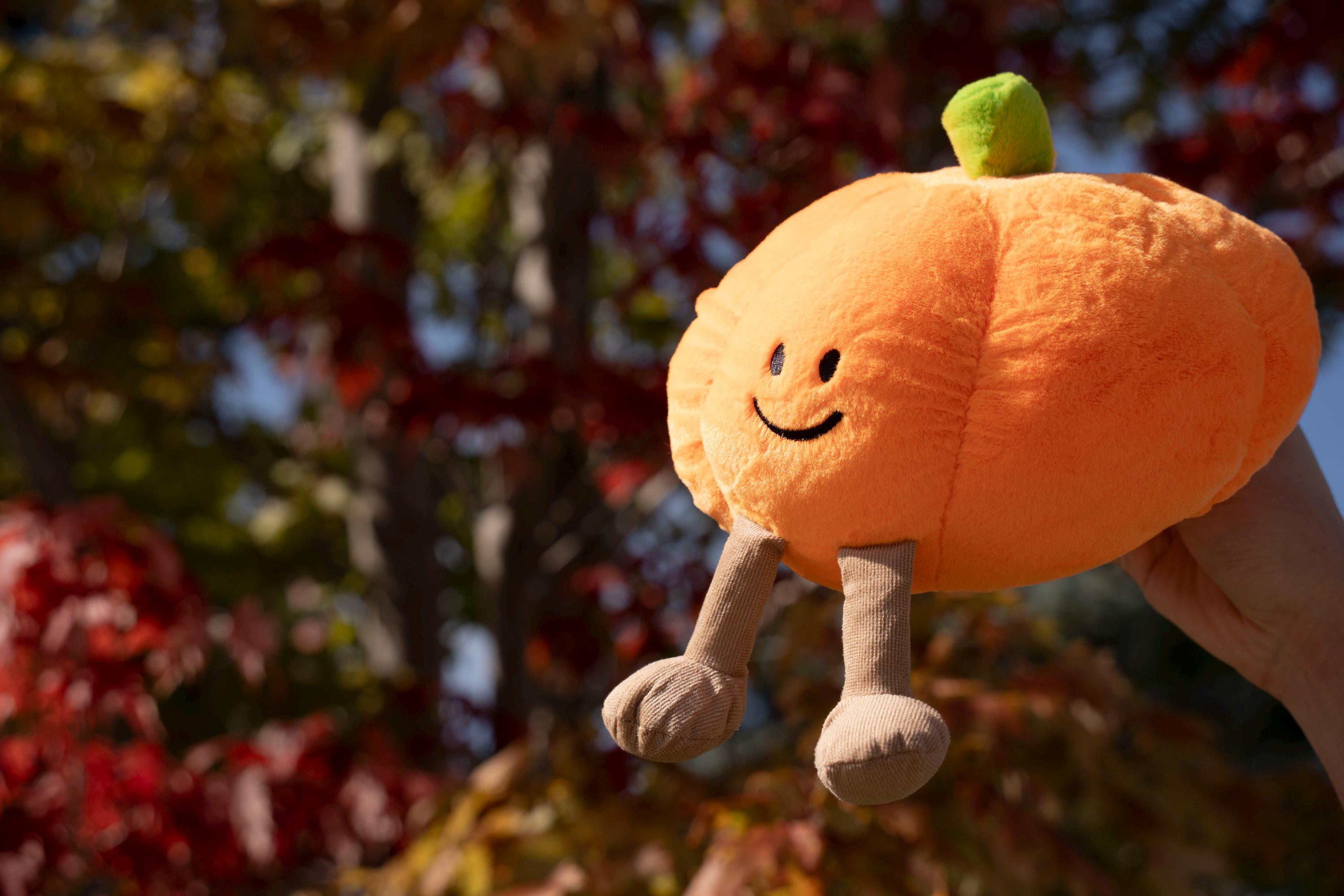Pumpkin Plush, Fall Plush, Autumn Plush, Cute Plushie, Halloween ...