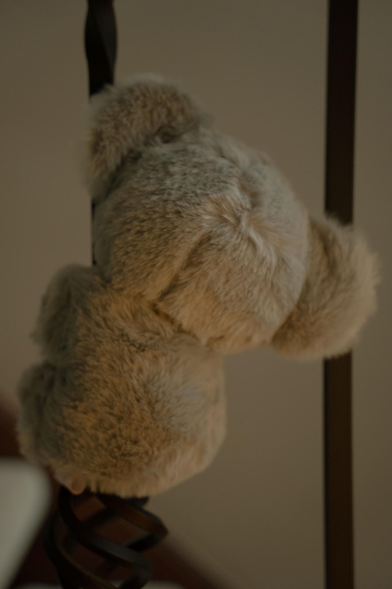 Koala Plushie, Koala Clingy Plushie, Koala Stuffed Animal, Koala Animal ...