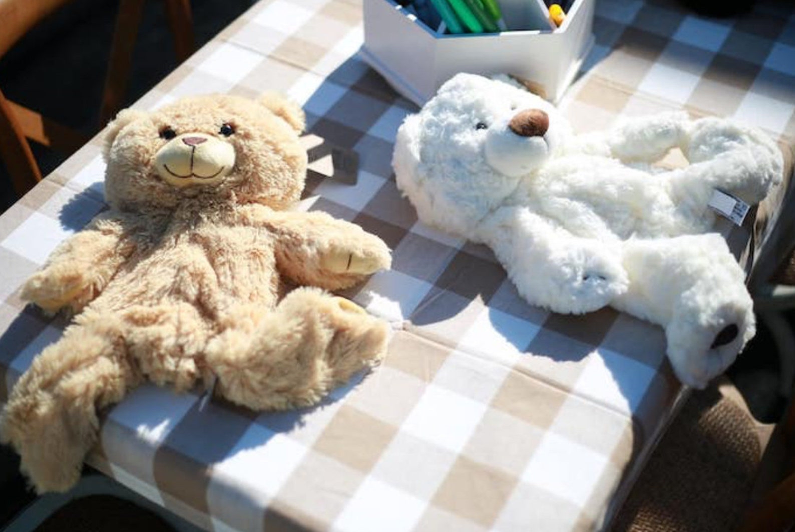 Build-an-animal Carry Home Box Stuffie Carry Box Build-a-bear ...