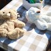 Build-an-animal Carry Home Box Stuffie Carry Box Build-a-bear ...