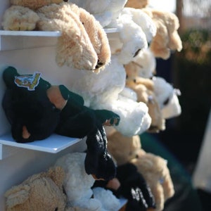 Build-an-animal Carry Home Box Stuffie Carry Box Build-a-bear ...