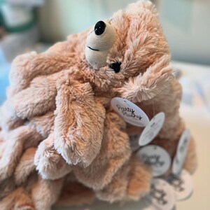 Build-an-animal Carry Home Box Stuffie Carry Box Build-a-bear ...