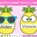 Summer Pineapple Theme Name Tags Classroom Door Display & Bulletin ...