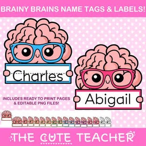 Brainy Bunch Name Tags - Smart Students Themed Bulletin Board & Cubby ...