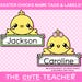 Easter Chicks Name Tags - Cute Spring Themed Bulletin Board & Holiday ...
