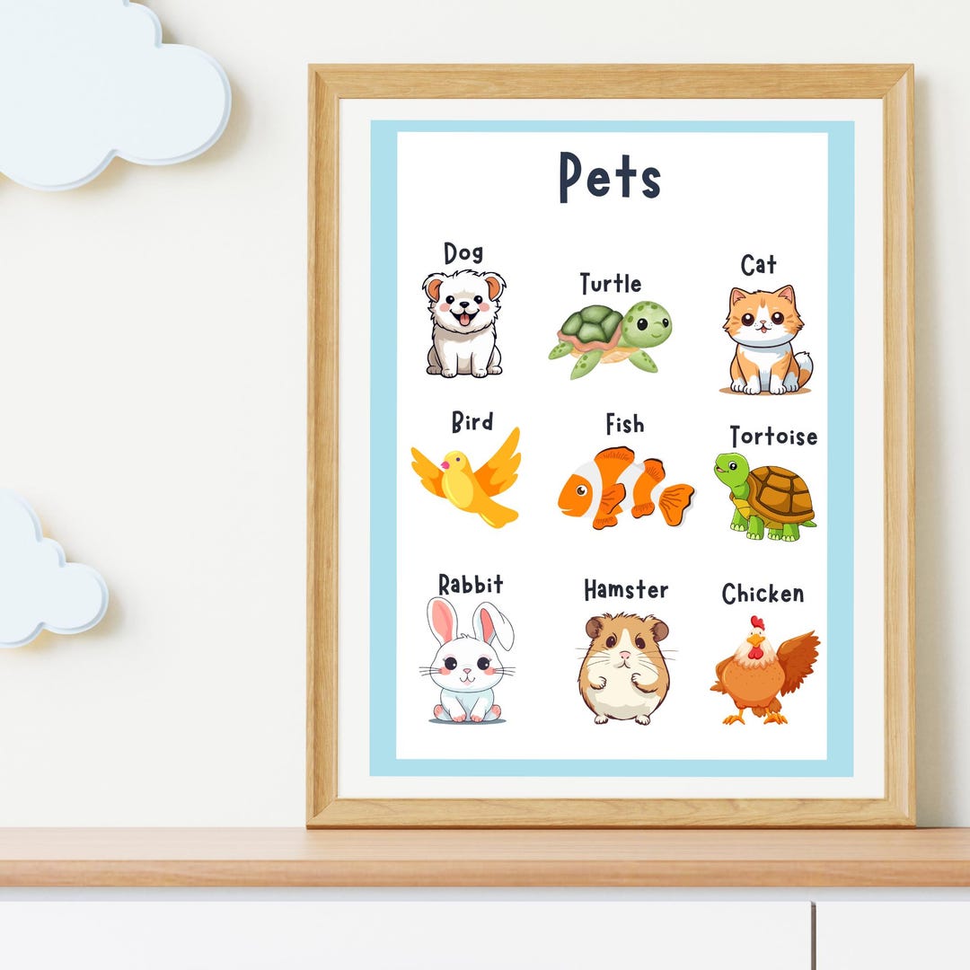 Pets Animals Wall Chart for Classroom Wall Chart Kids Wall Chart Kids ...