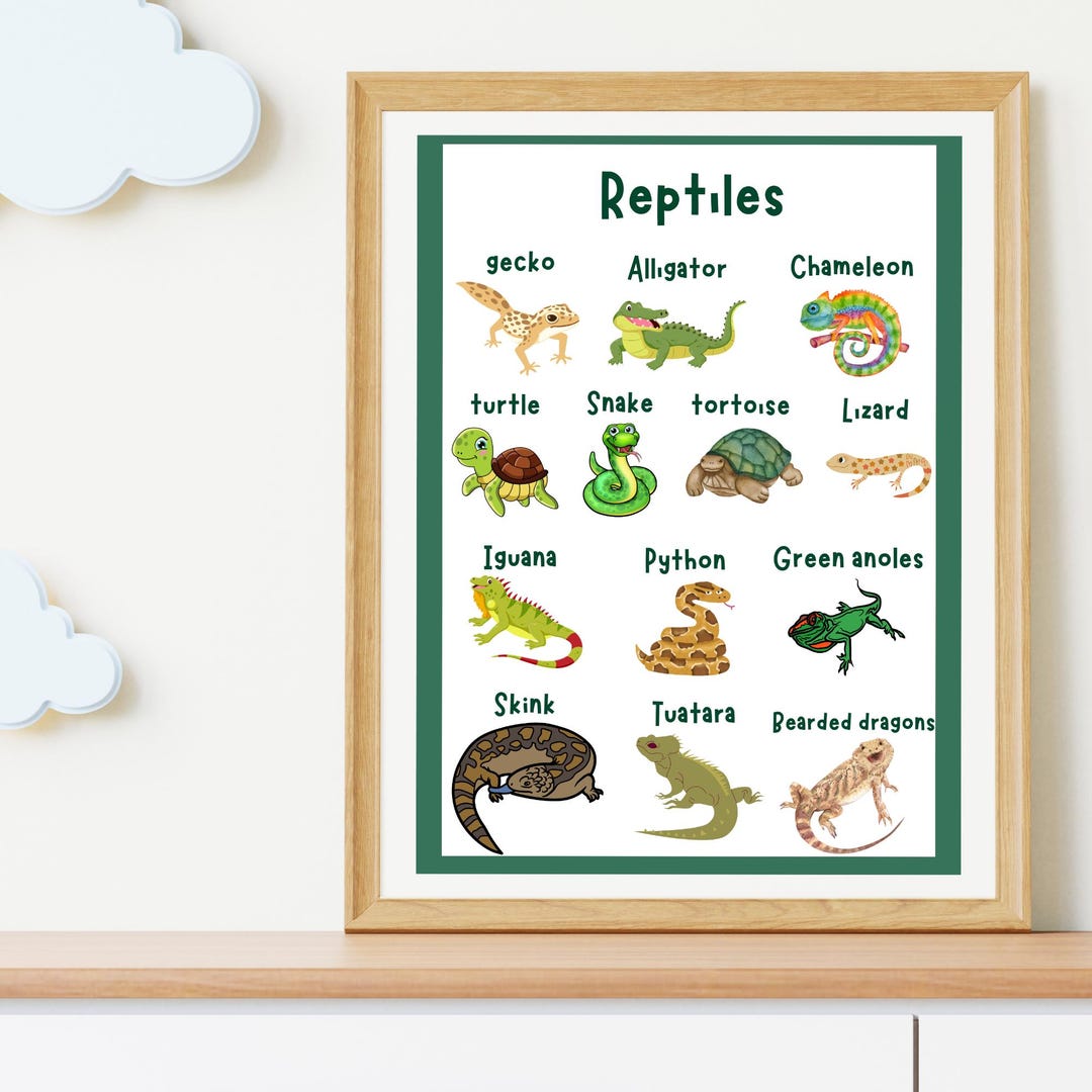 Reptiles Animals Wall Chart for Classroom Wall Chart Kids Wall Chart ...