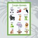 Jungle Animals Wall Chart for Classroom Wall Chart Kids Wall Chart Kids ...