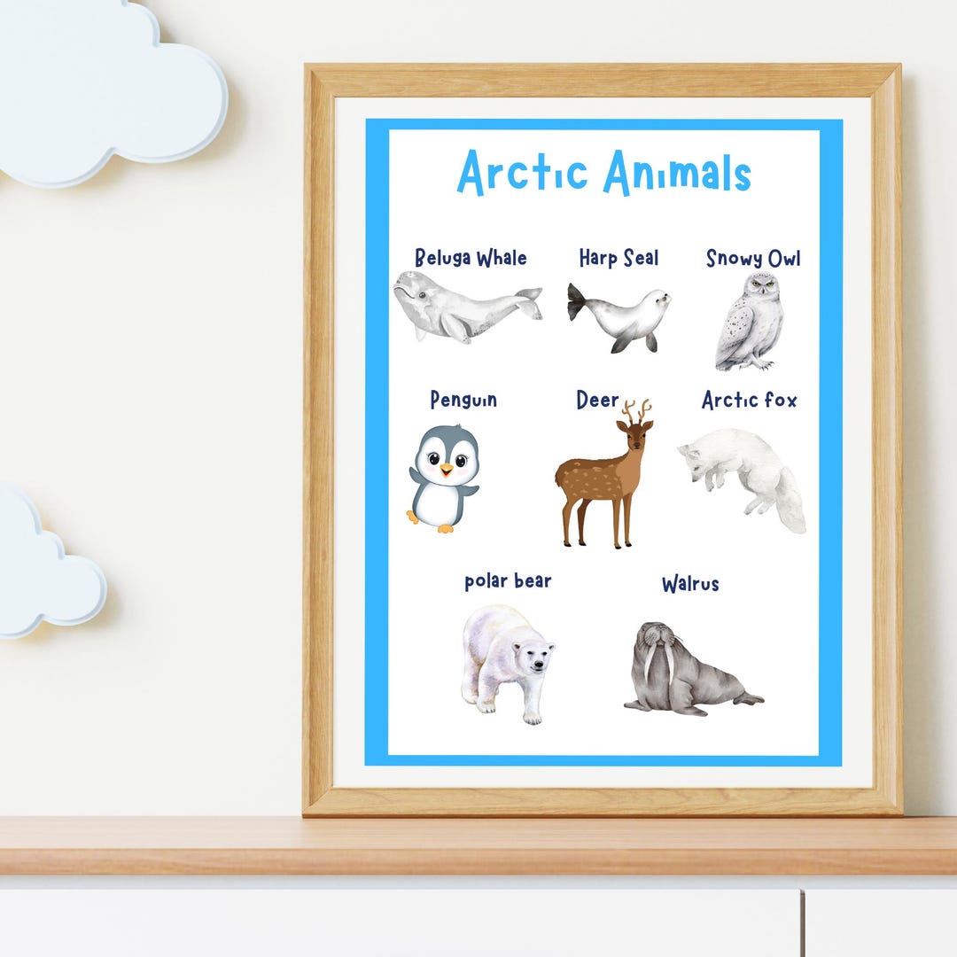 Arctic Animals Wall Chart for Classroom Wall Chart Kids Wall Chart Kids ...