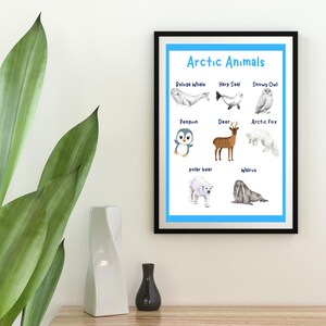 Arctic Animals Wall Chart for Classroom Wall Chart Kids Wall Chart Kids ...