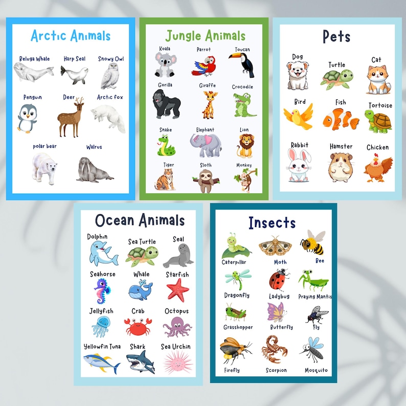 10 Animals Wall Chart for Classroom Bundle Sea, Forest, Jungle, Farm ...