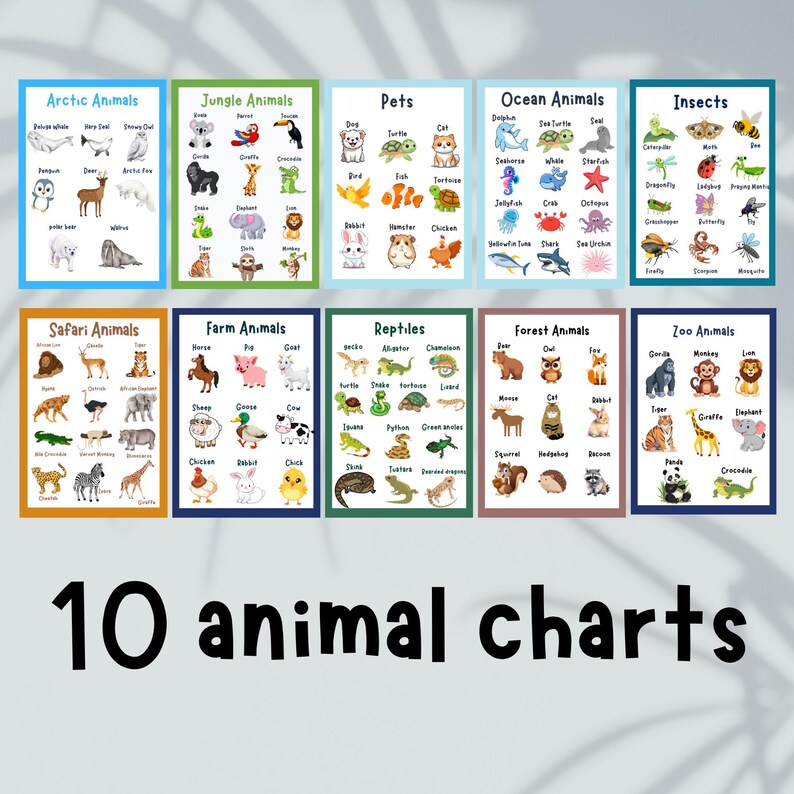 10 Animals Wall Chart for Classroom Bundle Sea, Forest, Jungle, Farm ...
