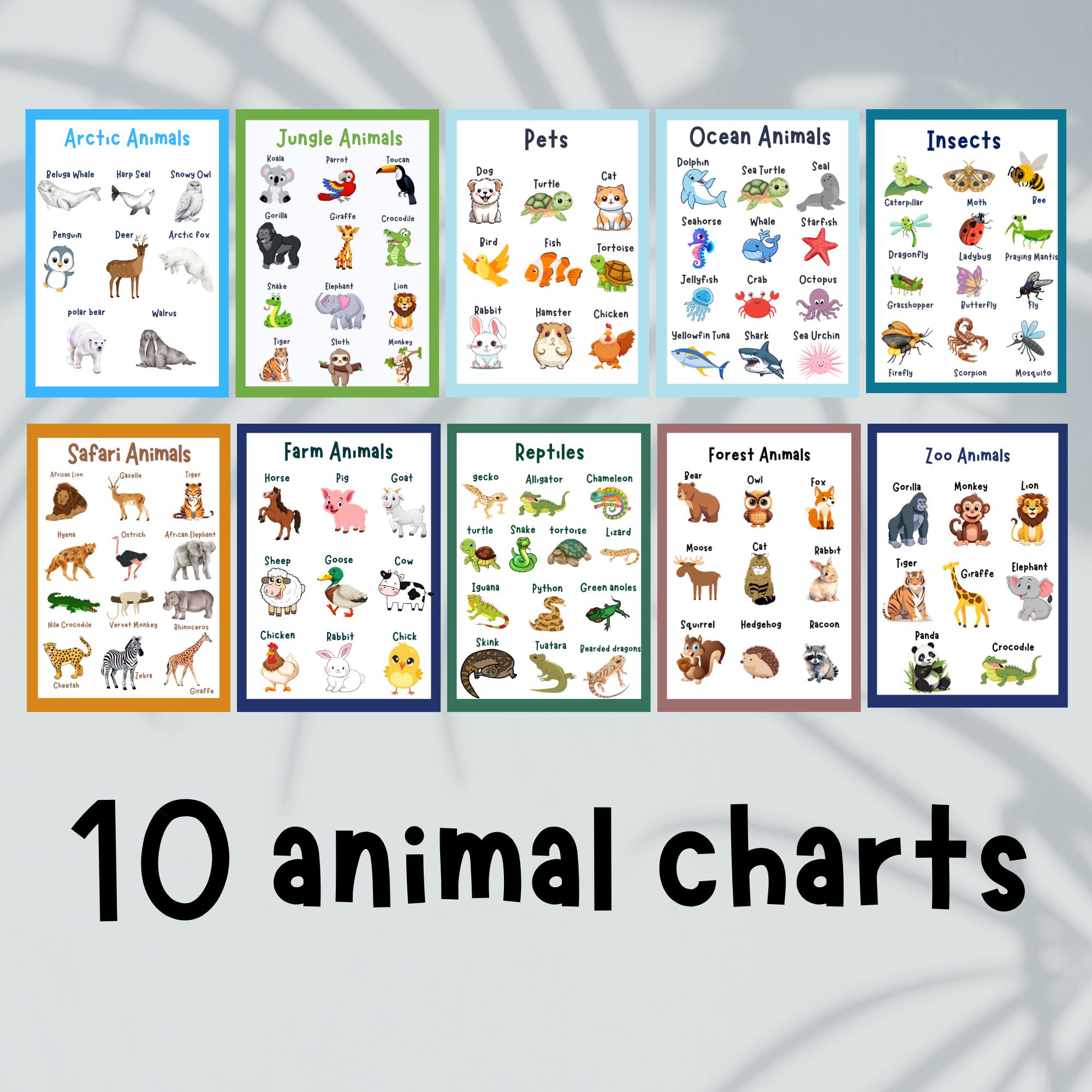 10 Animals Wall Chart for Classroom Bundle Sea, Forest, Jungle, Farm ...