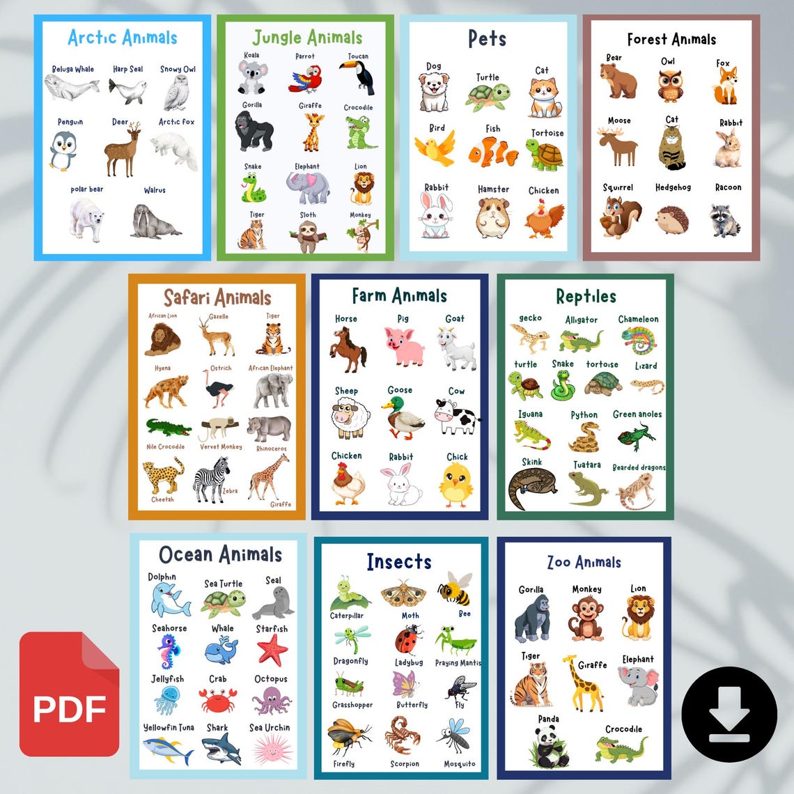 10 Animals Wall Chart for Classroom Bundle Sea, Forest, Jungle, Farm ...