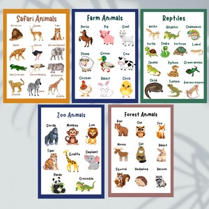 10 Animals Wall Chart for Classroom Bundle Sea, Forest, Jungle, Farm ...