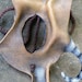 Satyr Mask - Etsy