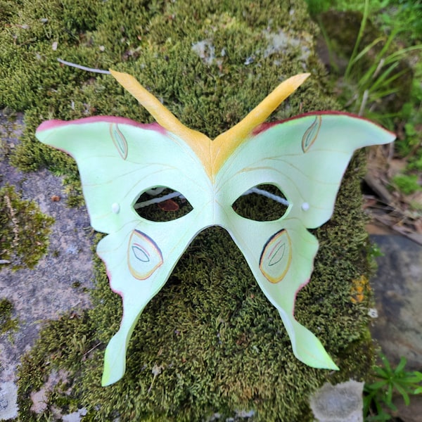 Masquerade Moth Mask - Etsy
