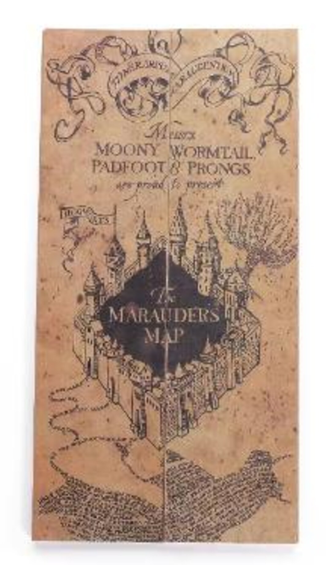 Mini Wizard Map: Uncover the Secrets of the Magical World - Etsy