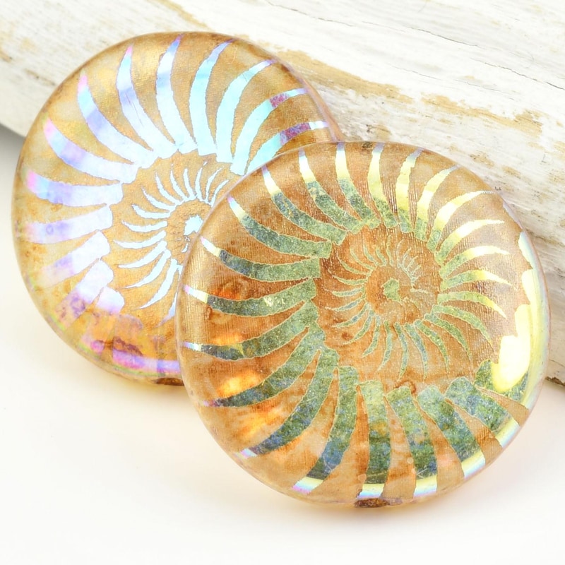 Flat Spiral Shells - Etsy