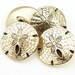 Sand Dollar Button Findings Tierracast Antique Gold Button Clasp ...