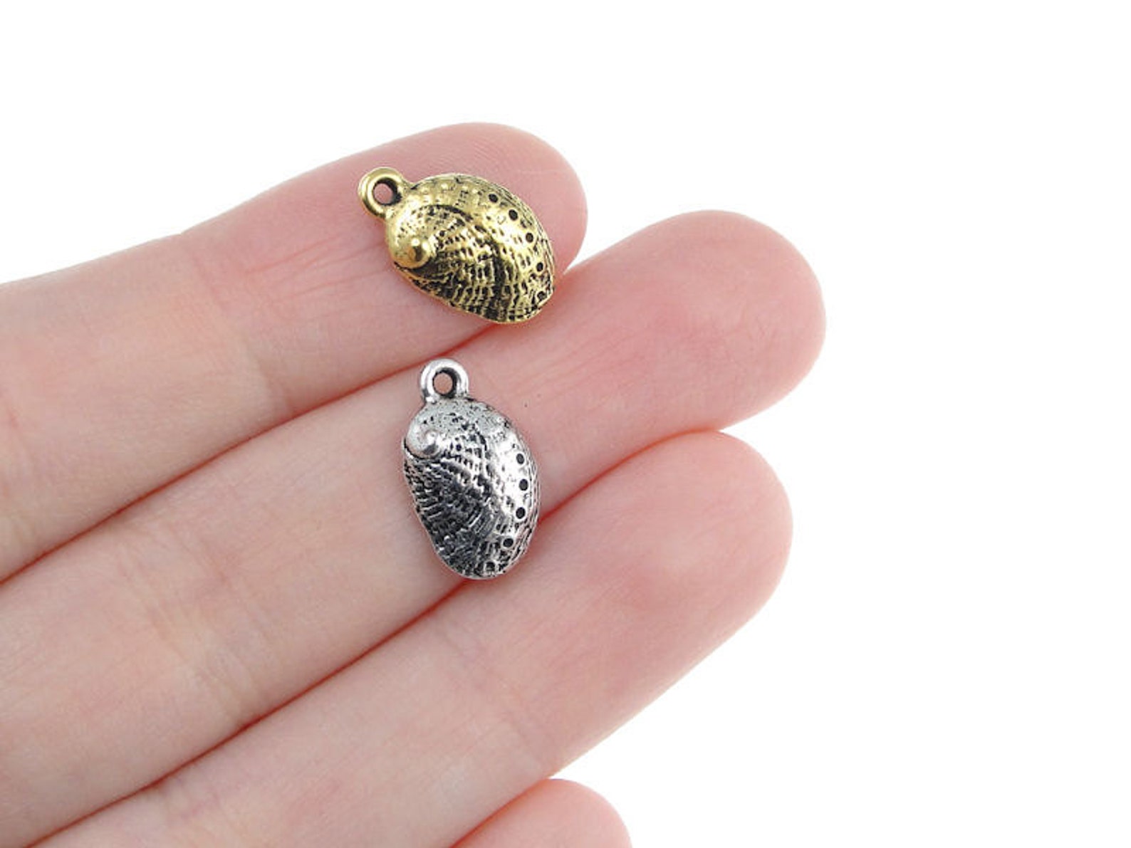 Seashell Charms 16mm Beach Charms Tierracast ABALONE SHELL - Etsy