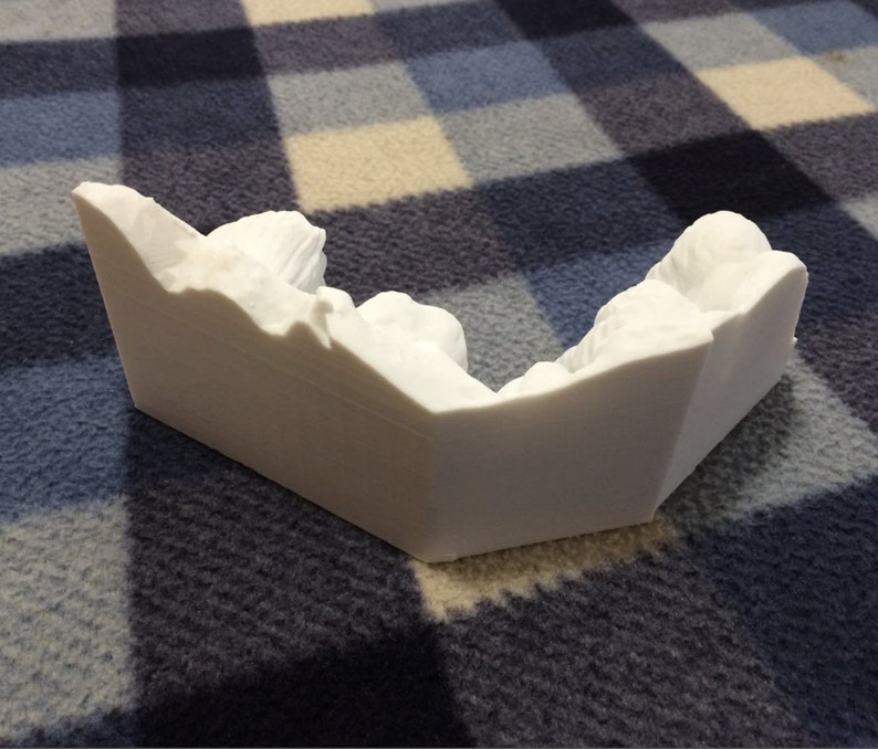 3D Printed Trump President Sculpture Unique Gift for Patriot, MAGA, and ...