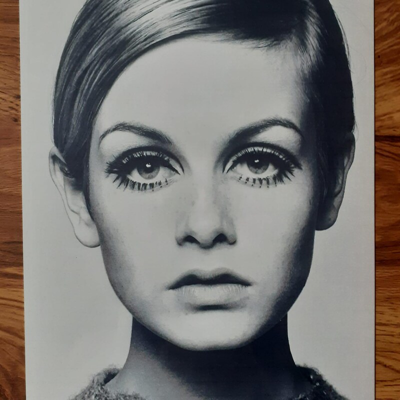 Twiggy Poster - Etsy