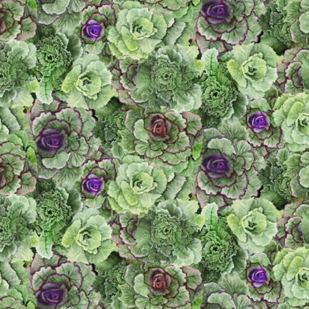 Ornamental Cabbage Mint Green Bird Song Cedar West Clothworks Fabric - Etsy