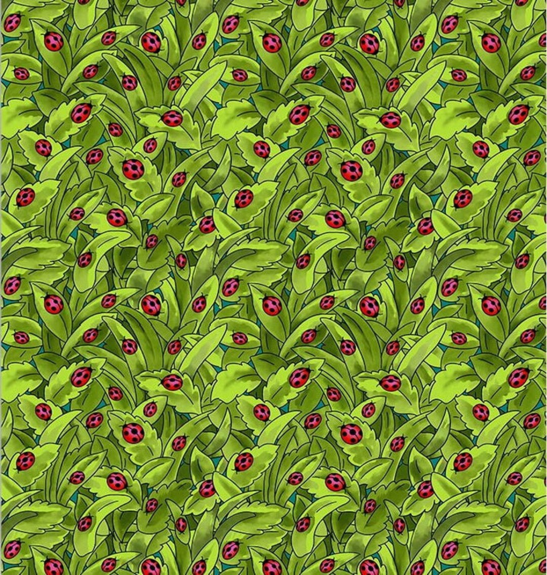 Ladybugs Green Pixie Patch Blank Quilting Fabric - Etsy