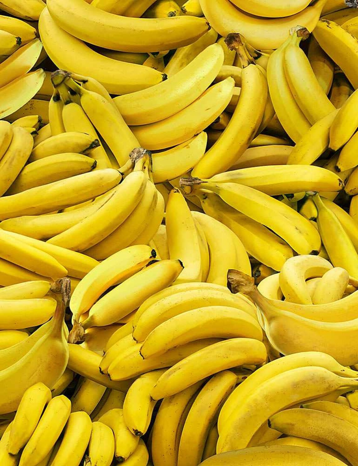 Packed Bananas Yellow Fruit Bowl Timeless Treasures Fabric - Etsy