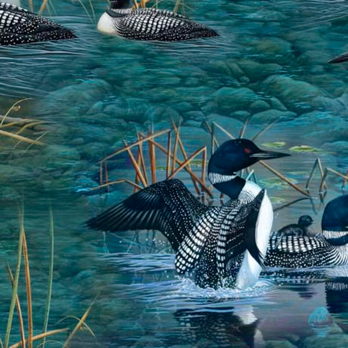 Lakeside Loons Blue Quilting Treasures Fabric - Etsy
