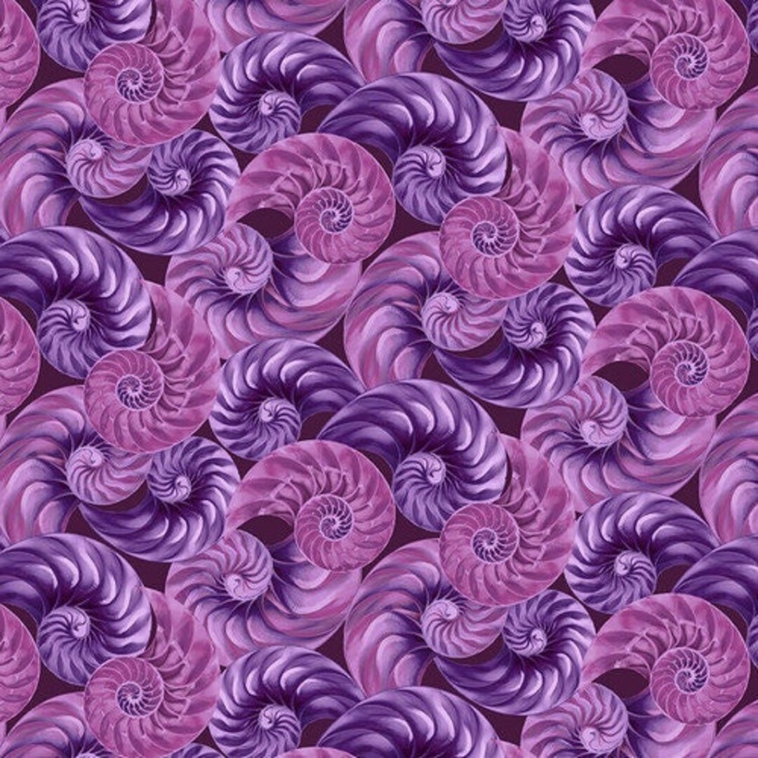 Sea Shells Purple Natural Beauties Digital Blank Quilting Fabric - Etsy