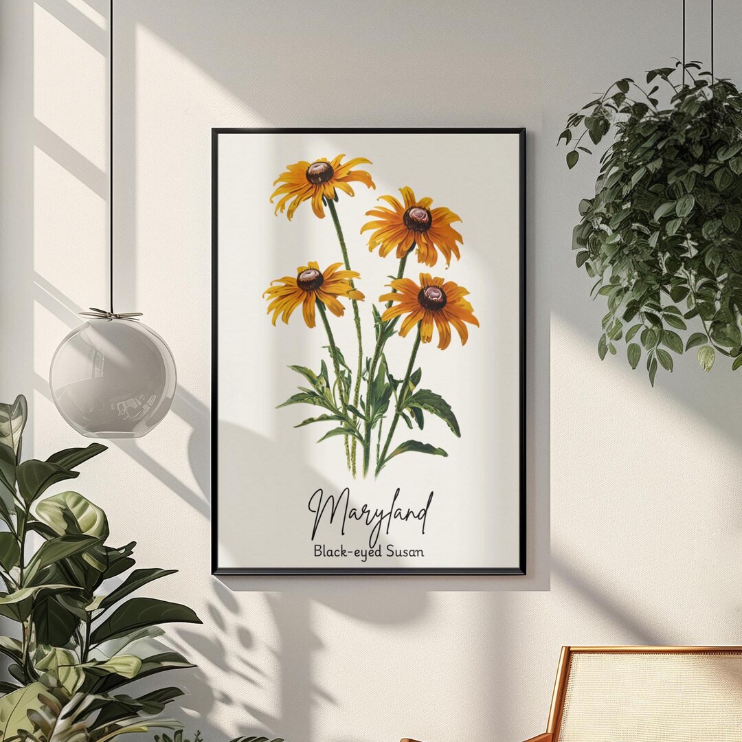 Maryland State Flower Art Print, Elegant Botanical Art, Black-eyed ...