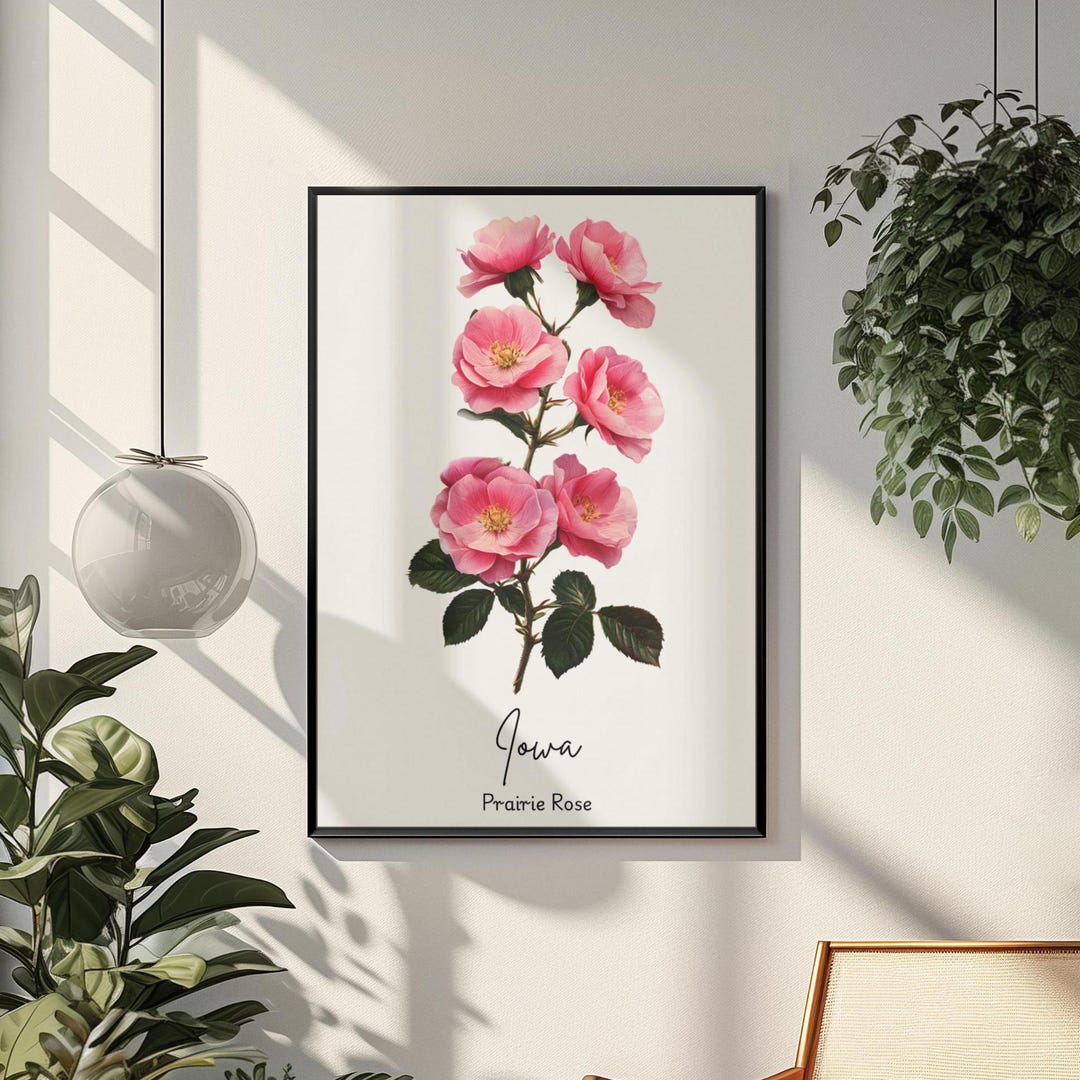 Iowa State Flower Art Print, Elegant Botanical Art, Prairie Rose Art ...