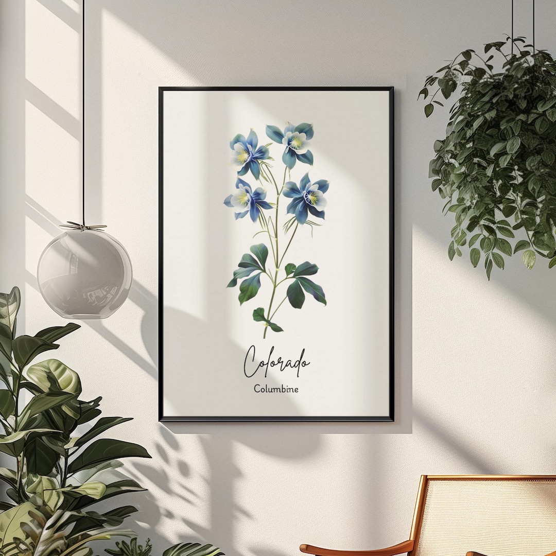 Colorado State Flower Art Print, Elegant Botanical Art, Columbine ...