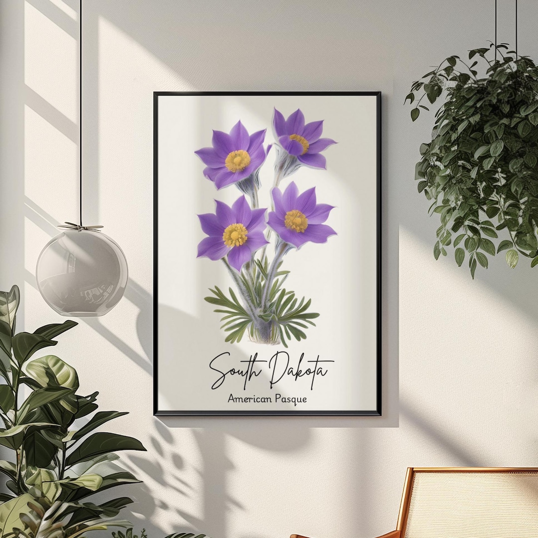 South Dakota State Flower Art Print, Elegant Botanical Art, American ...