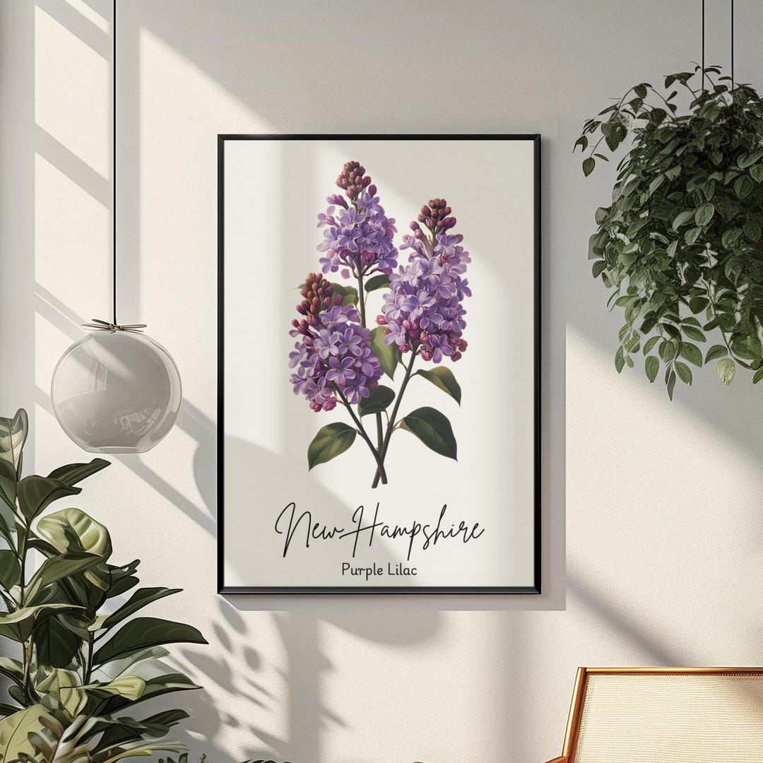 New Hampshire State Flower Art Print, Elegant Botanical Art, Purple ...