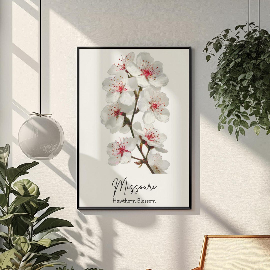Missouri State Flower Art Print, Elegant Botanical Art, Hawthorn ...