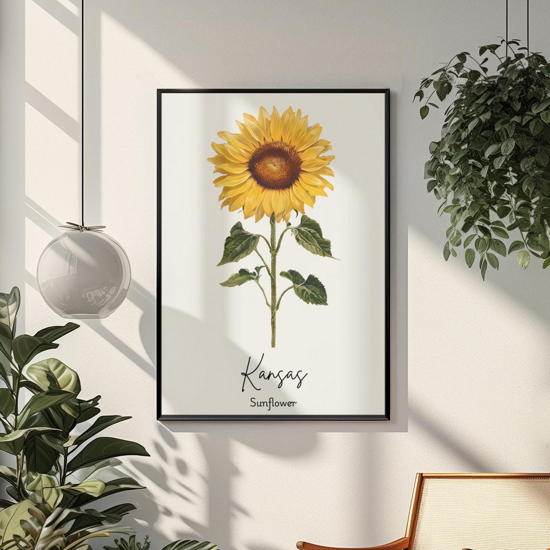 Kansas State Flower Art Print, Elegant Botanical Art, Sunflower Art ...
