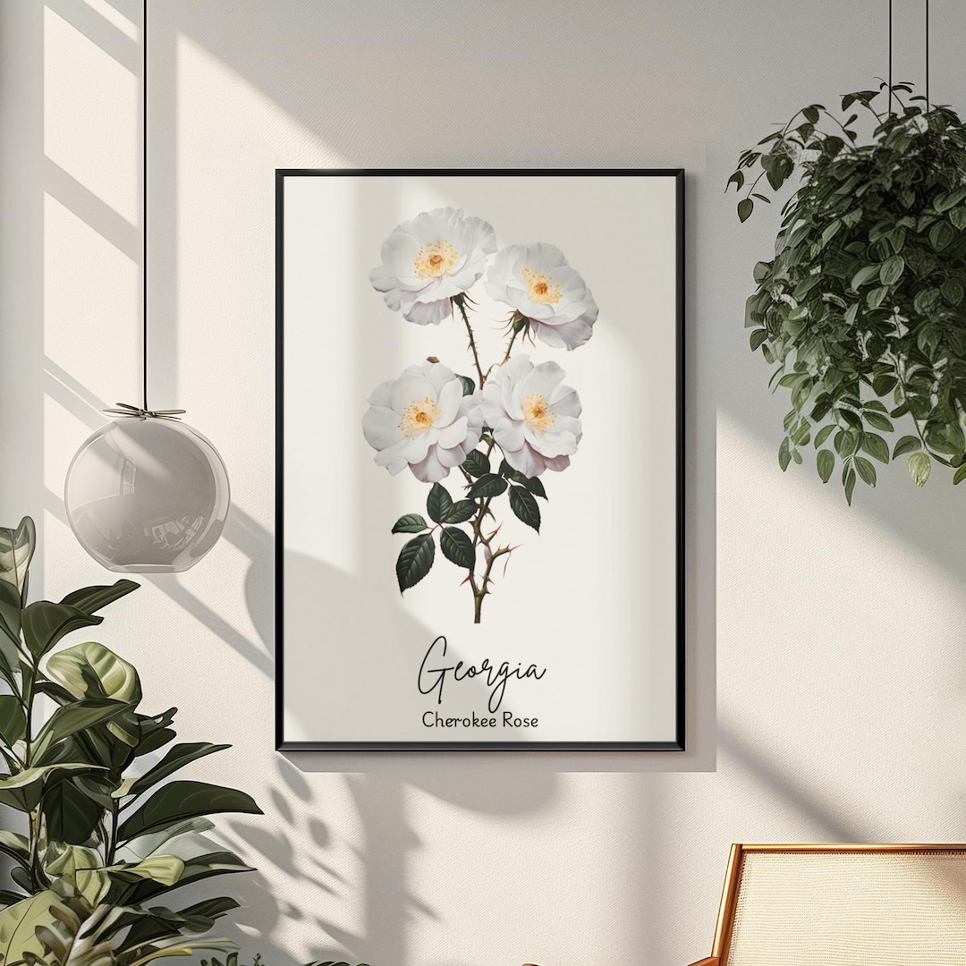 Georgia State Flower Art Print, Elegant Botanical Art, Cherokee Rose ...