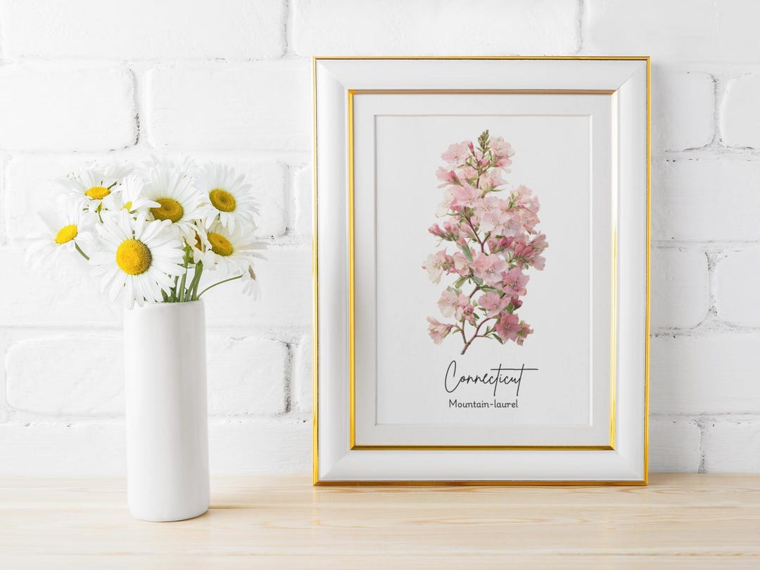 Connecticut State Flower Art Print, Elegant Botanical Art, Mountain ...