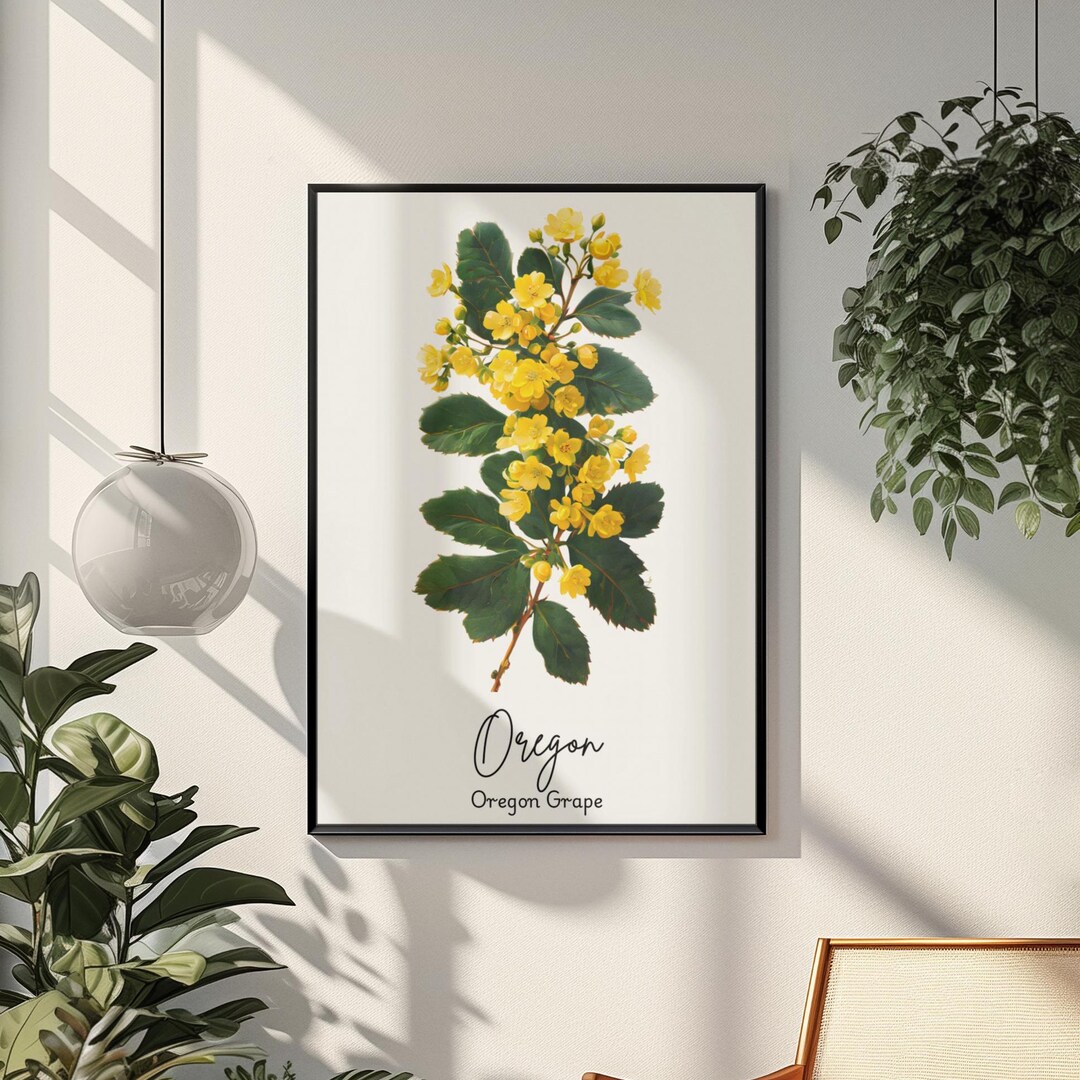 Oregon State Flower Art Print, Elegant Botanical Art, Oregon Grape Art ...