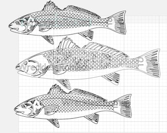 Redfish Red Drum Design | Svg Png Dxf Eps Pdf | Transparent Vector ...