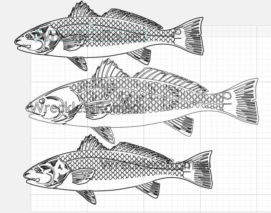 SVG Only Redfish Redfish Red Drum - Etsy