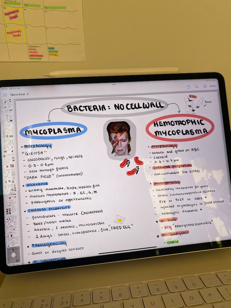 Microbiology Booklet - Etsy