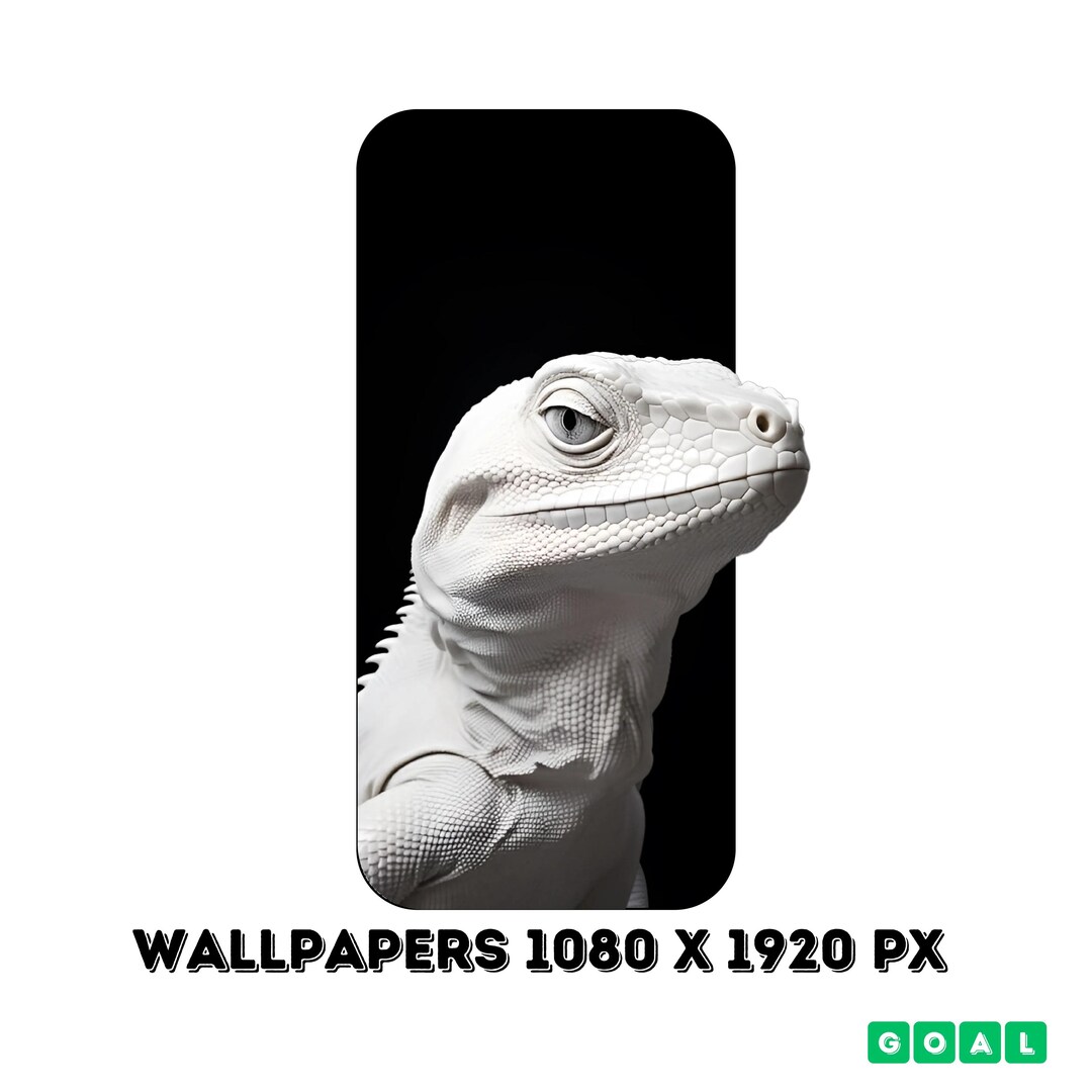 Wallpapers,snow Lizard,white Gem,white Shadow in the Dark,little Silver ...