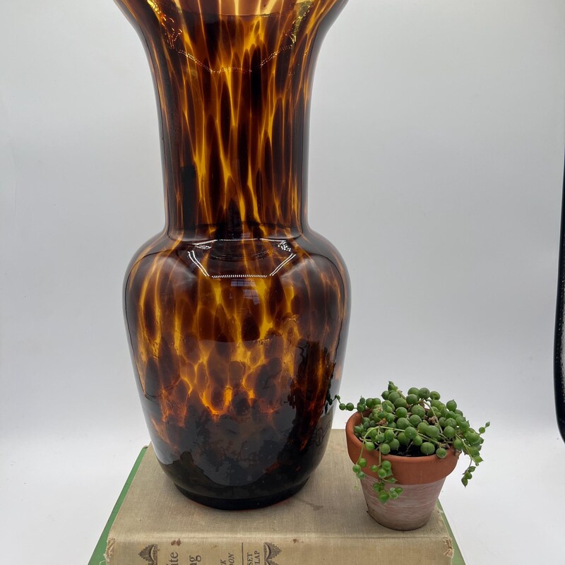 Tortoise Shell Glass - Etsy